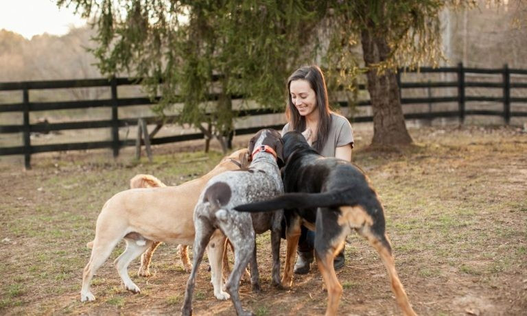 Basic Things Owners Should Teach City Dogs - The Holborn Mag